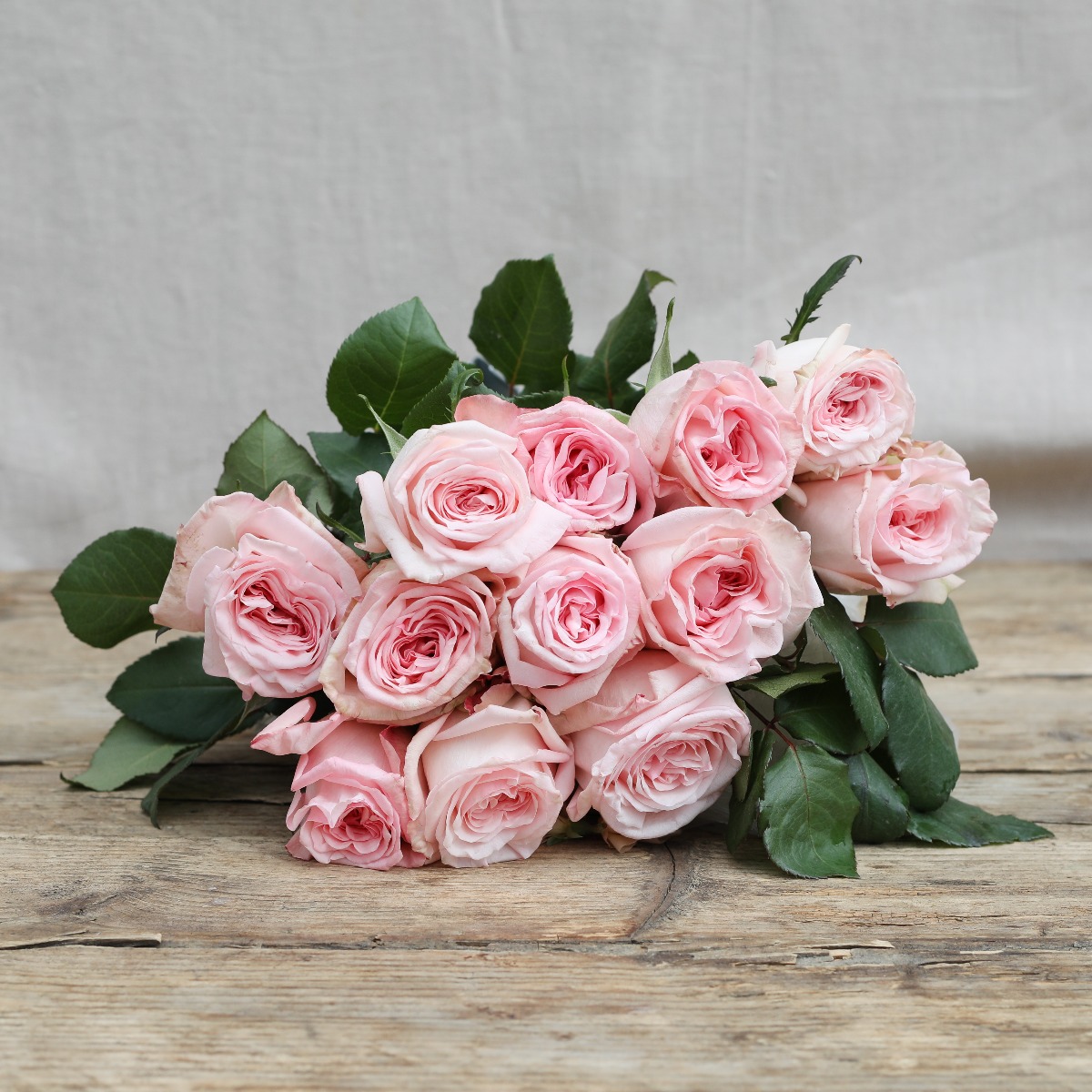 Pink Rose Flowers Pictures Pink Flowers Roses Free Photo On Pixabay