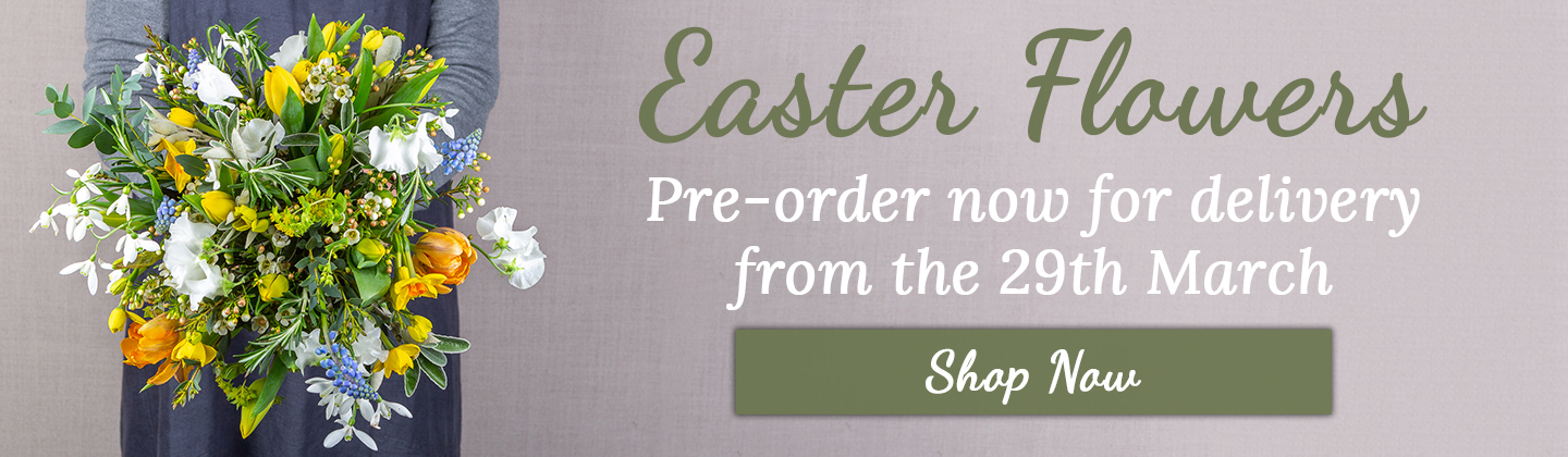 Luxury Flowers for Delivery - The Real Flower Company