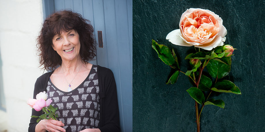 Best of British – our team pick their favourite English roses | The ...