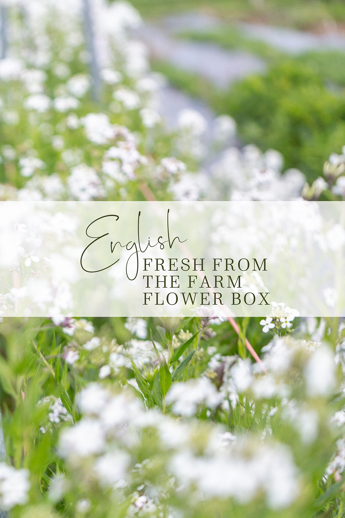 Getting the Most from your Fresh from the Farm English Flower Box | The ...