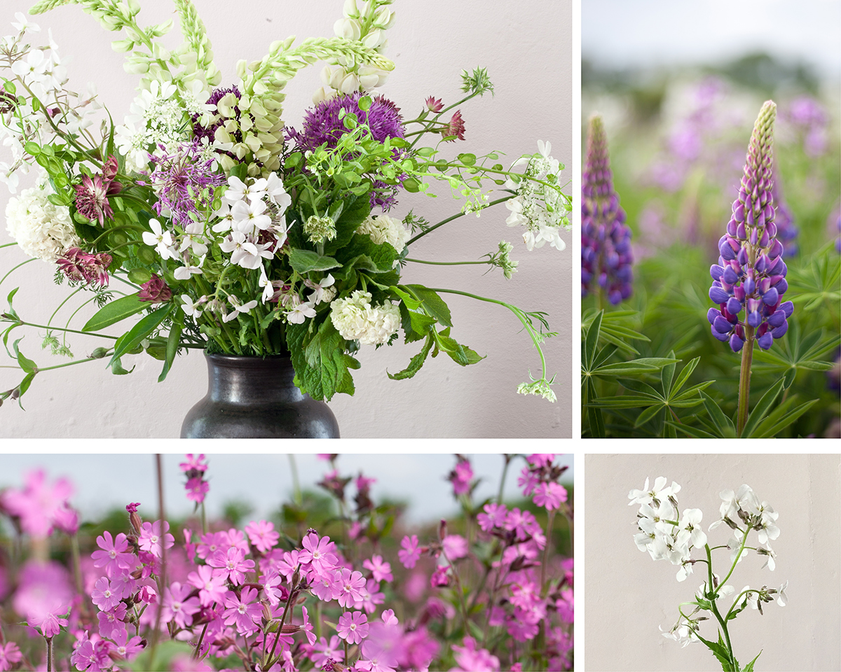 Getting the Most from your Fresh from the Farm English Flower Box | The ...