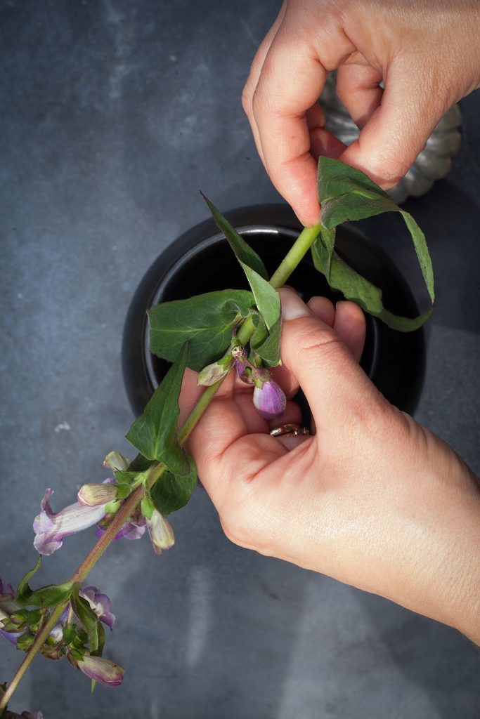 How to Make DIY Cut-Flower Food | The Real Flower Company blog