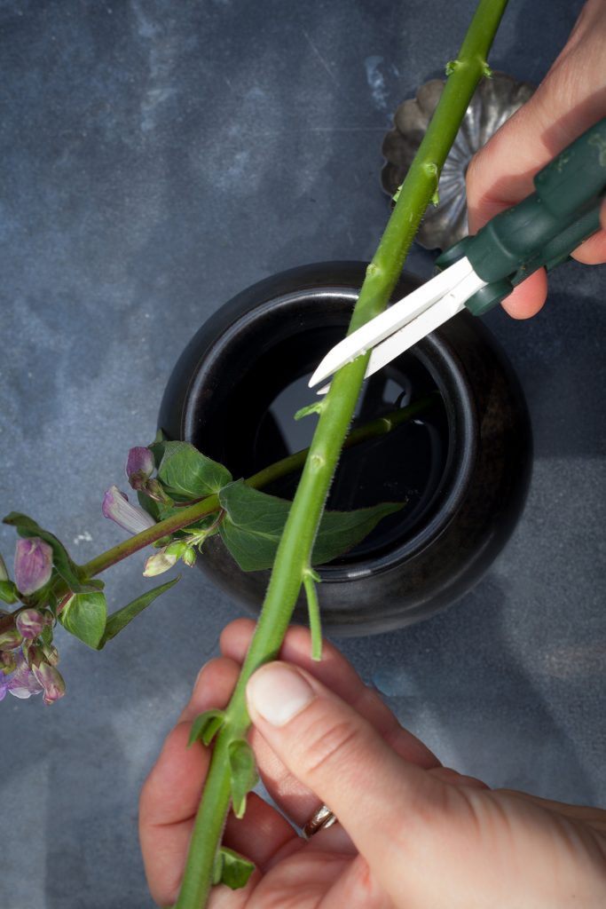 How to Make DIY Cut-Flower Food | The Real Flower Company blog